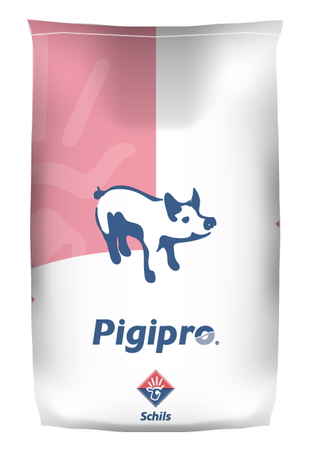 Pigipro - Piglet milk replacers: Schils