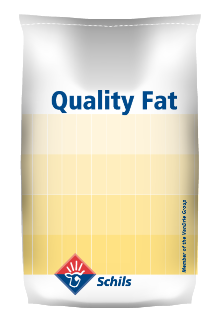 An interesting source of energy for dairy cows.: Schils
